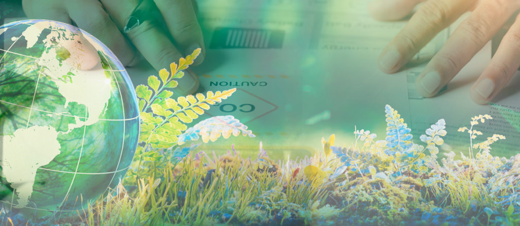 Environmental Risk Management: la gestione dei rischi ambientali delle ...